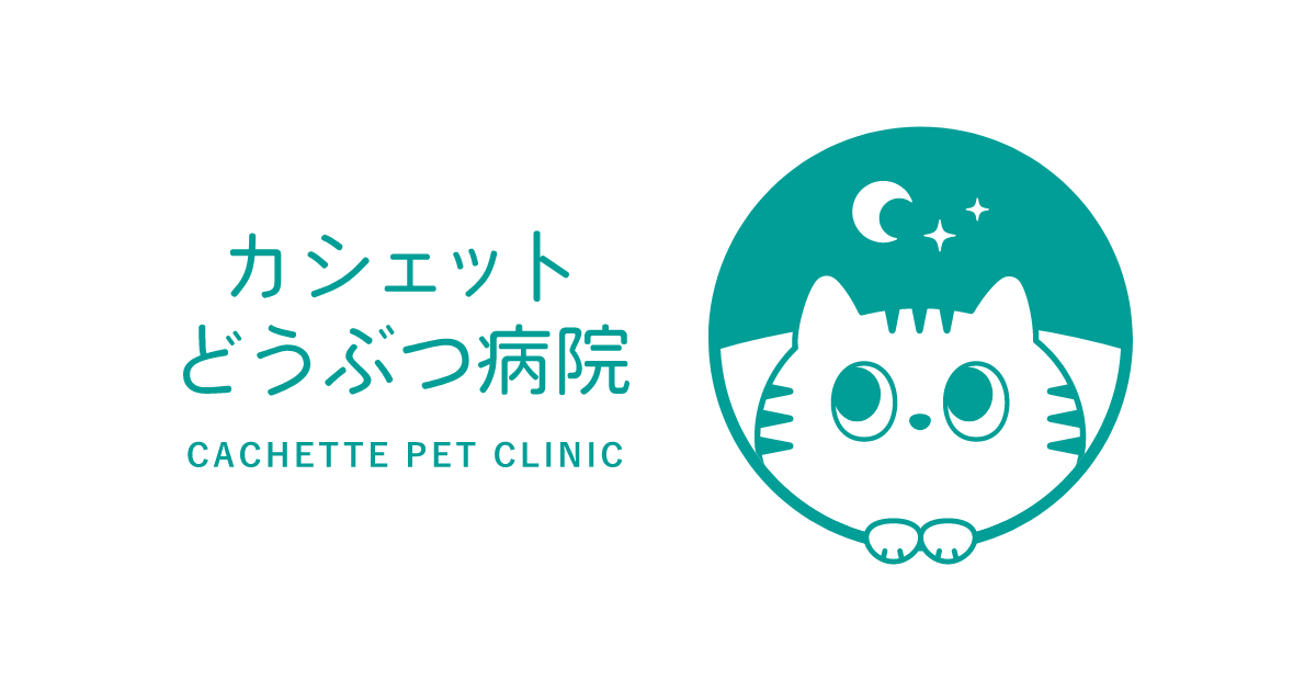 【コラム】犬が冬の散歩に行きたがらない理由と対応｜カシェットどうぶつ病院｜群馬県桐生市の地域密着どうぶつ病院とペットホテル
